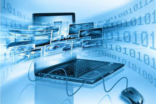 Informatique de gestion : quels métiers pour quels profils